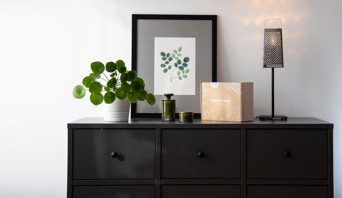 Impact Box - Heartwarming gifts for that create positive impact